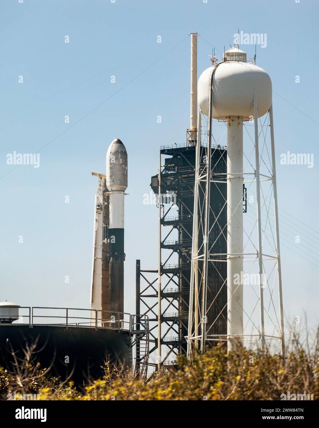 Elon musk rocket 2024 hi-res stock photography and images - Alamy