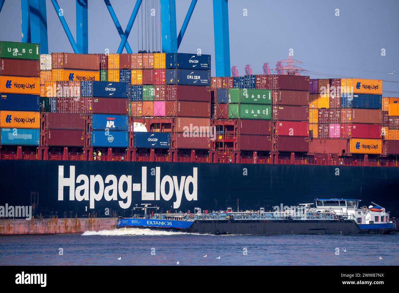 Container-Terminal-Altenwerder, Hapag-Lloyd container ship Frankfurt ...