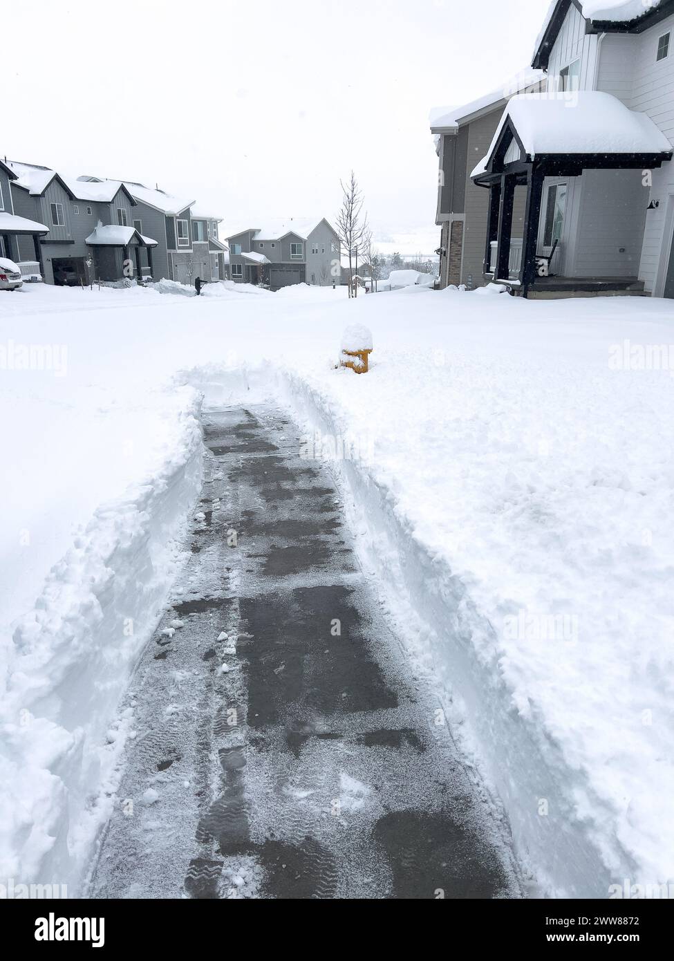 Cleared Pathway Amidst Snowy Suburban Landscape Stock Photo - Alamy