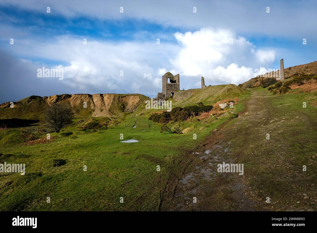 The remains of the old copper mine workings on Caradon hill on the edge ...