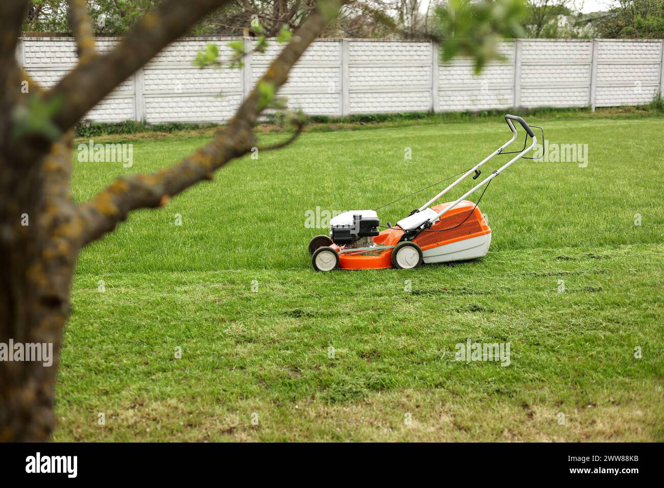Top view of modern orange-grey gasoline lawn mower cutting bright lush ...