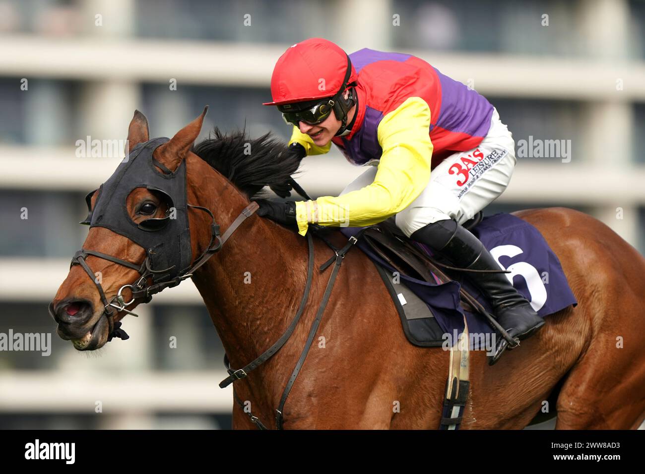 2024 neon hi-res stock photography and images - Alamy