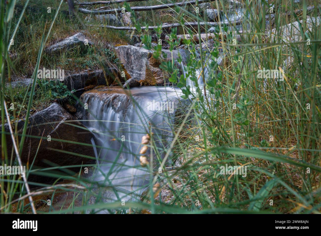 Peaceful mountain stream in the alps of Italian Alta Badia Stock Photo ...