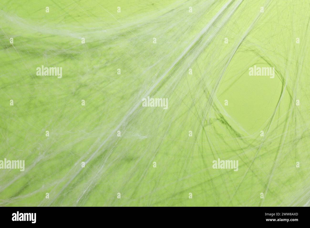 Creepy white cobweb hanging on green background Stock Photo - Alamy
