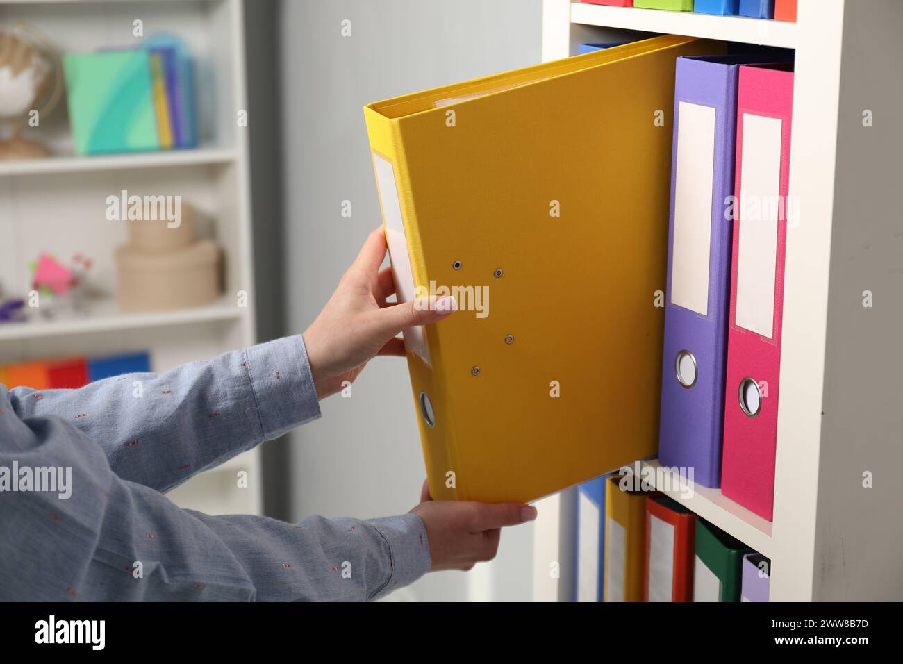 Woman taking binder office folder from shelving unit indoors, closeup ...