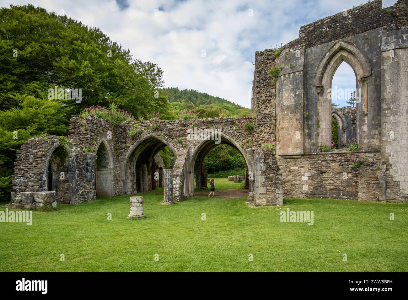 Abbey ruins, Margam Country Park, Wales, UK Stock Photo - Alamy