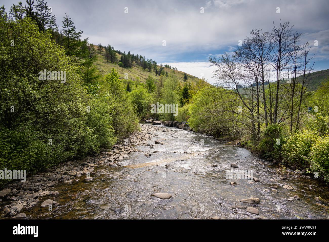 Ponds hi-res stock photography and images - Alamy