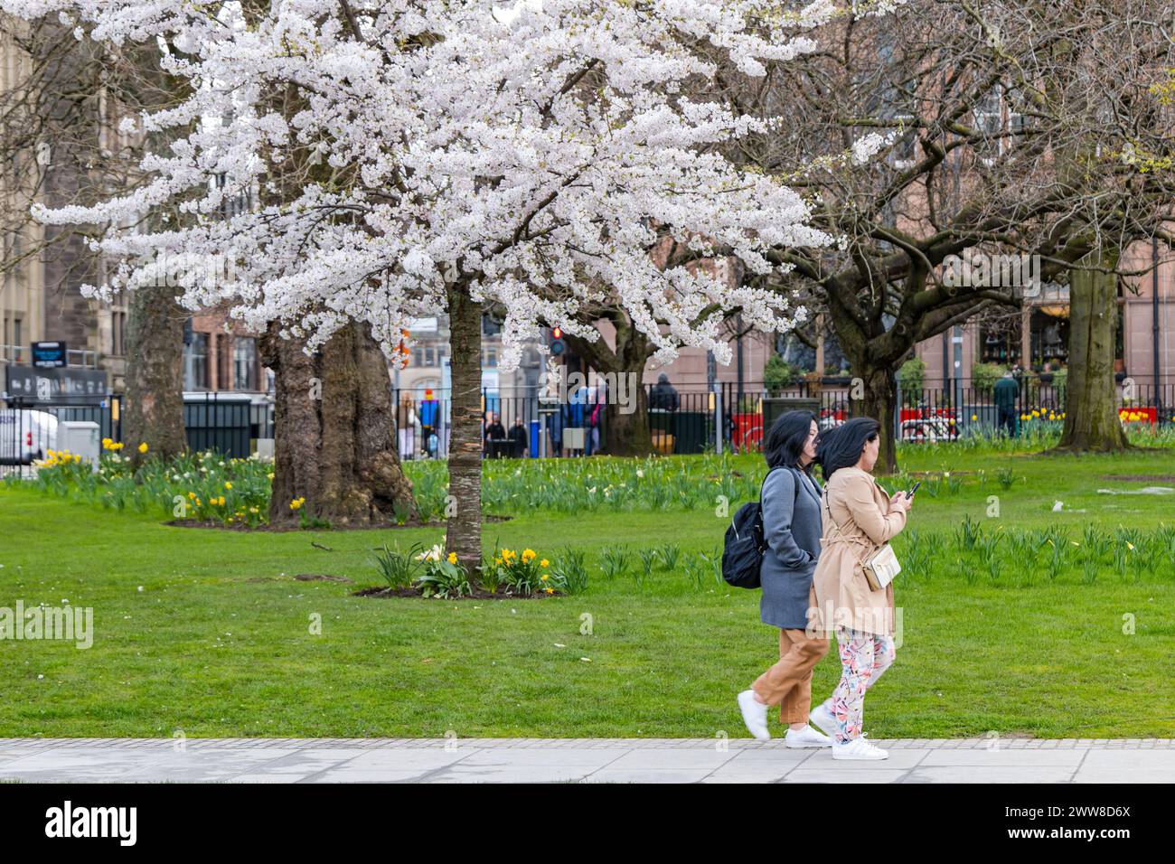Creating weather hi-res stock photography and images - Alamy