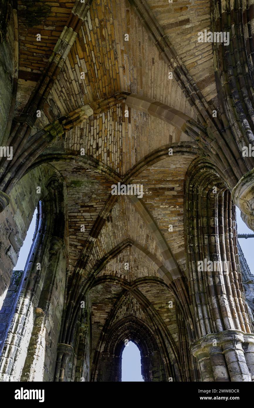 whitby abbey north yorkshire detail of ceiling sunny day blue sky Stock ...