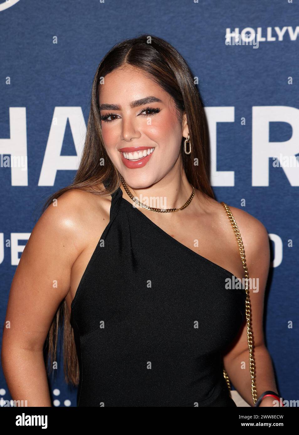 HOLLYWOOD, FL - MARCH 21: Diana Boscan is seen during Shakira ‘Las ...