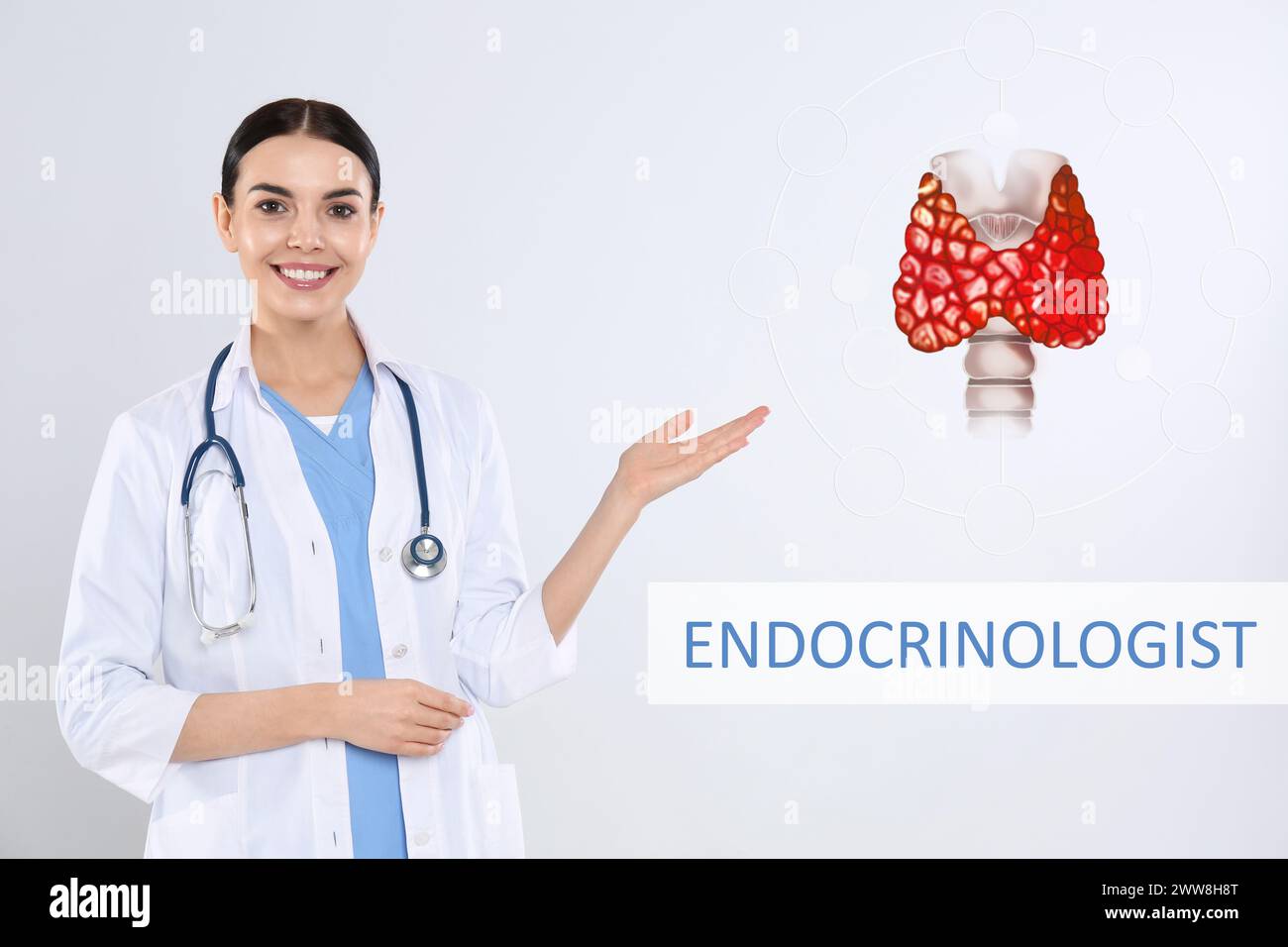 Endocrinologist and thyroid illustration on light background Stock ...