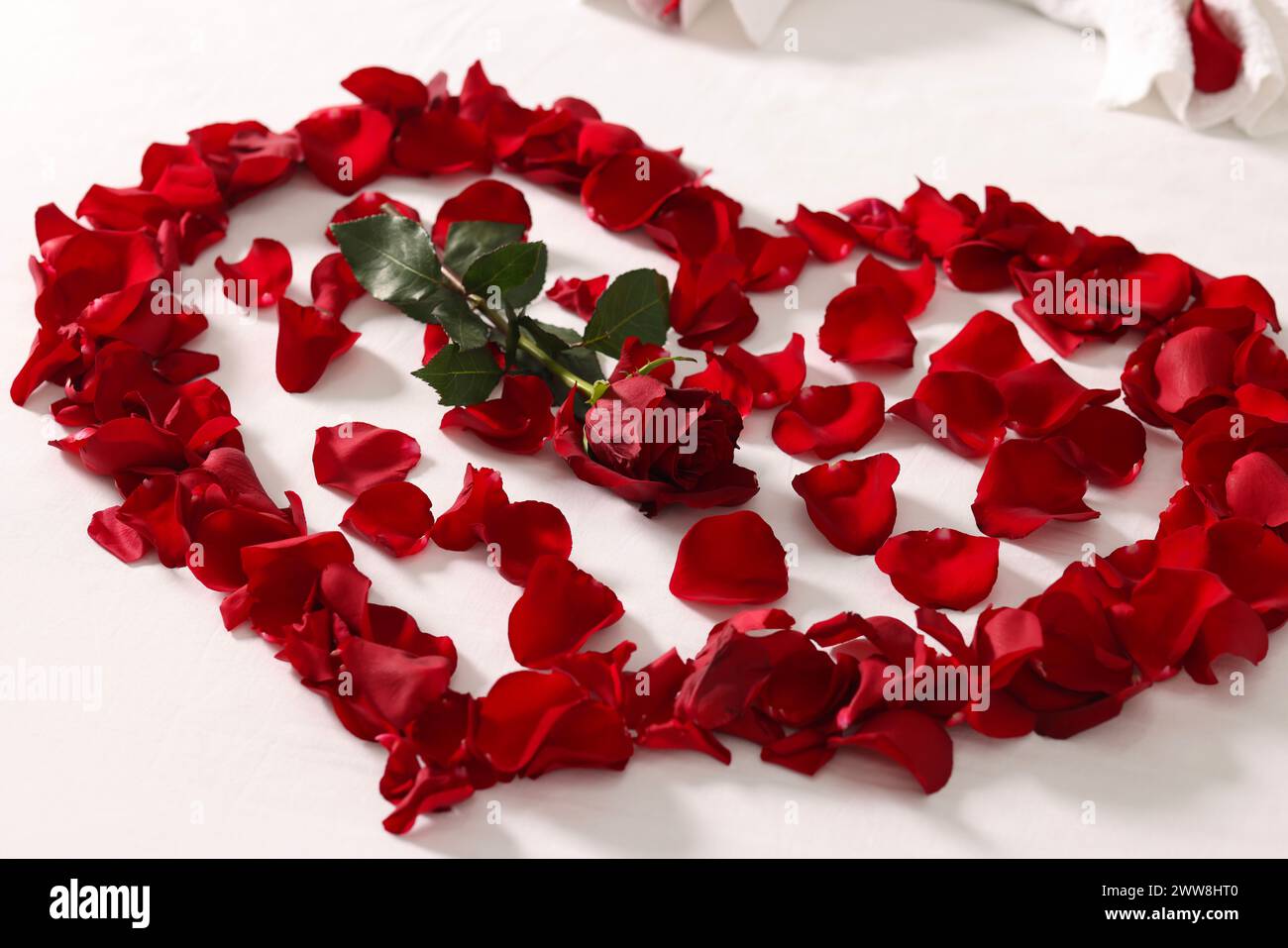 Most beautiful petals hi-res stock photography and images - Alamy