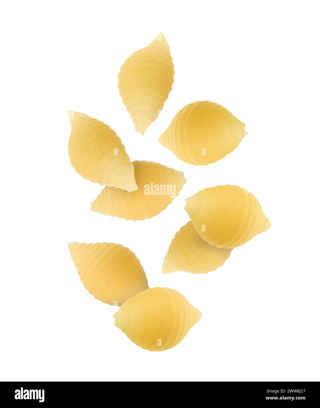 Raw conchiglie pasta flying on white background Stock Photo - Alamy