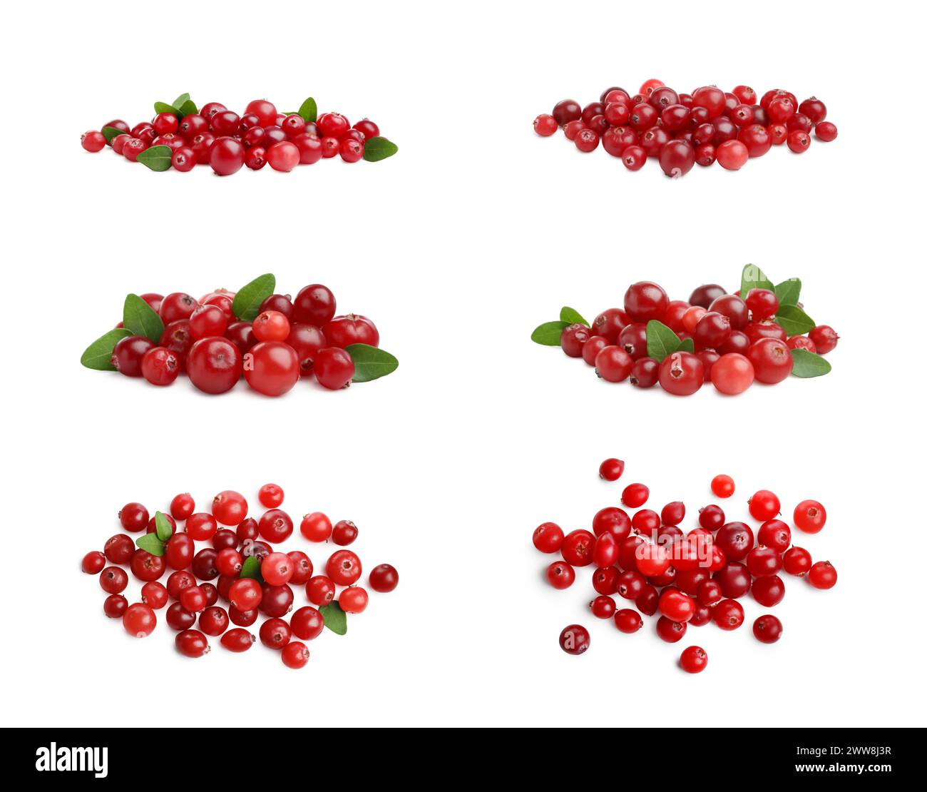 Set sweet ripe wild Cut Out Stock Images & Pictures - Alamy