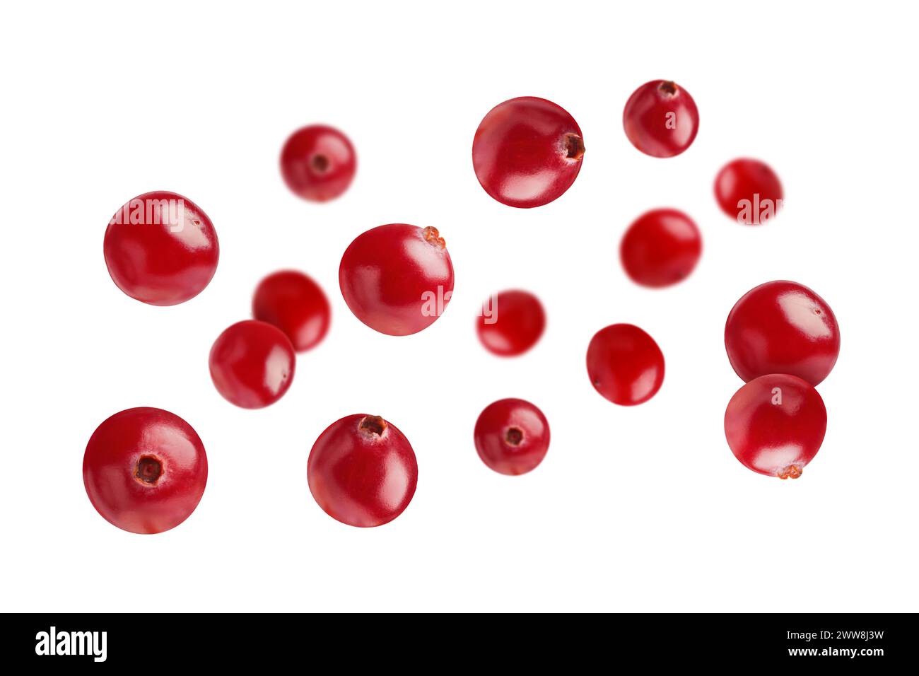 Fresh red cranberries falling on white background Stock Photo - Alamy