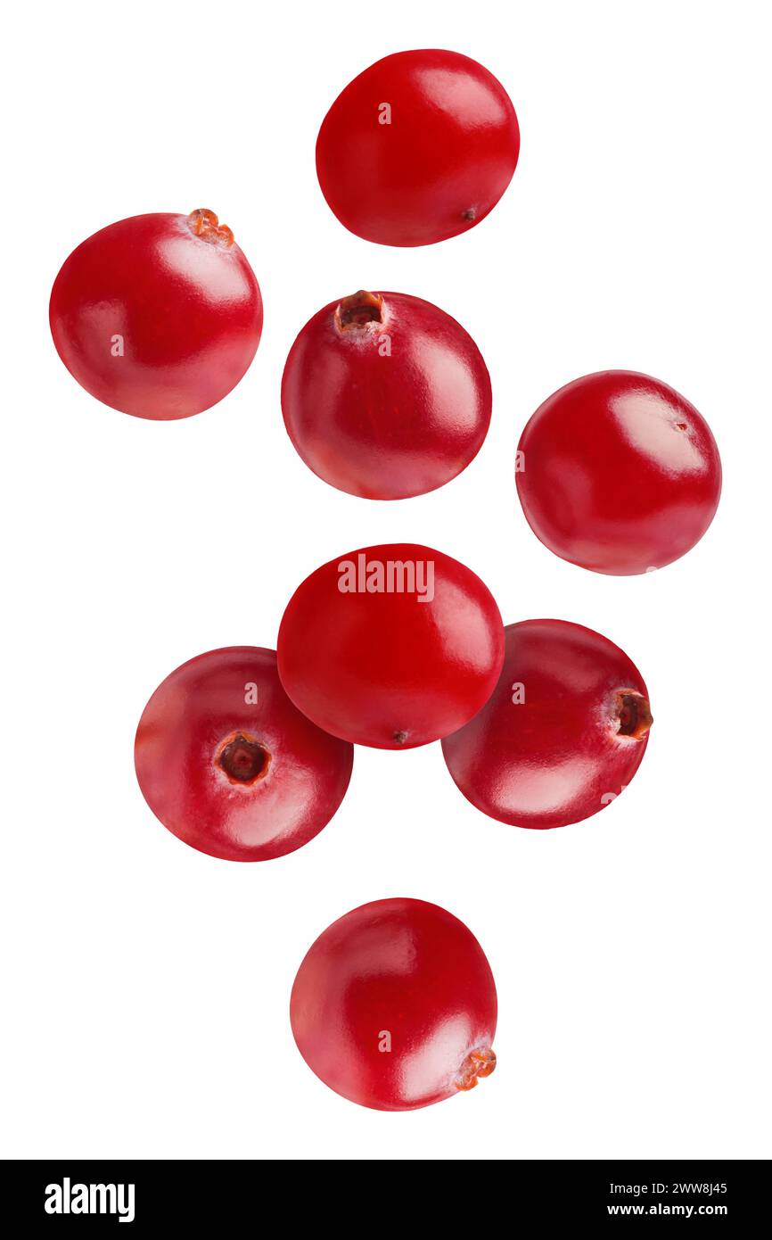 Fresh red cranberries falling on white background Stock Photo - Alamy
