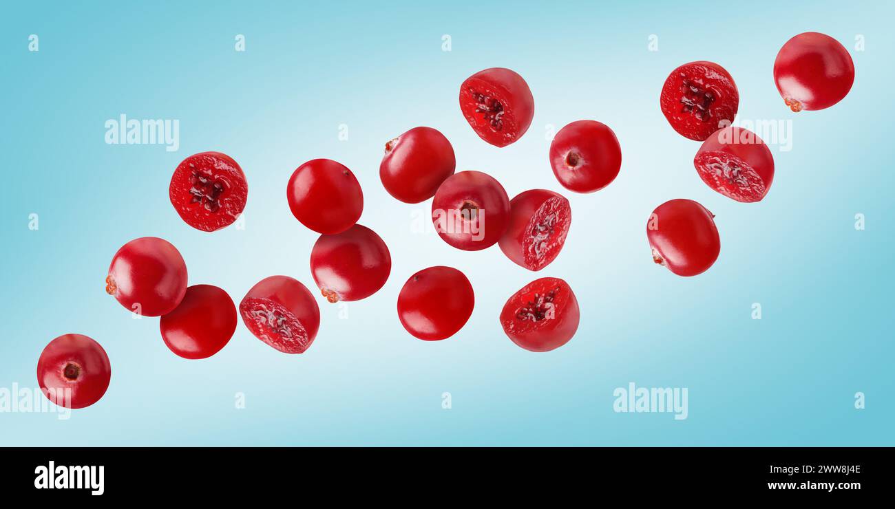 Fresh red cranberries flying on light blue background Stock Photo - Alamy