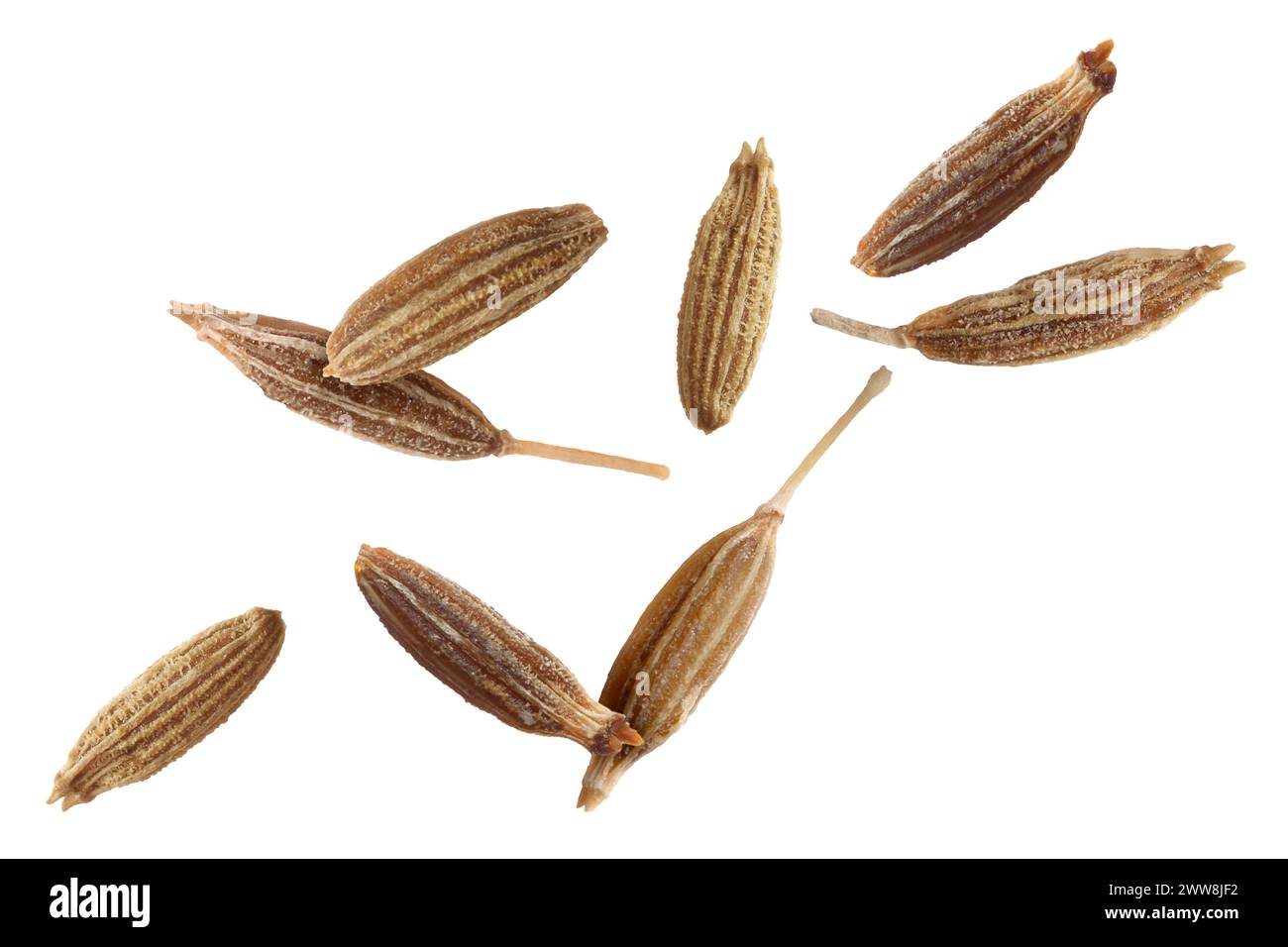 Many cumin seeds falling on white background Stock Photo - Alamy