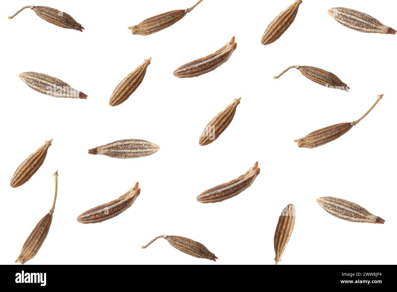 Indian seeds falling Cut Out Stock Images & Pictures - Alamy