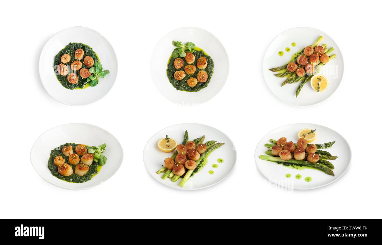 Set of different dishes with scallops isolated on white, top and side ...