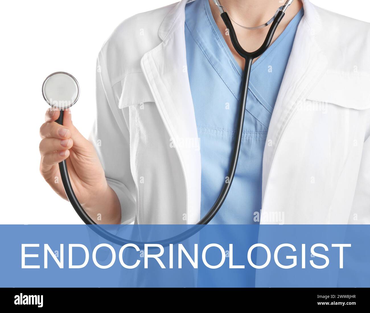 Endocrinologist with stethoscope on white background, closeup Stock ...