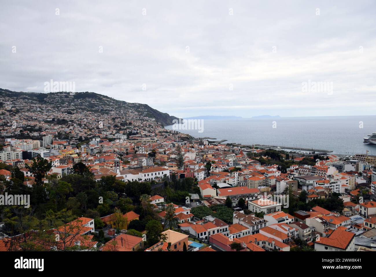 Madeira 2024 hi-res stock photography and images - Alamy