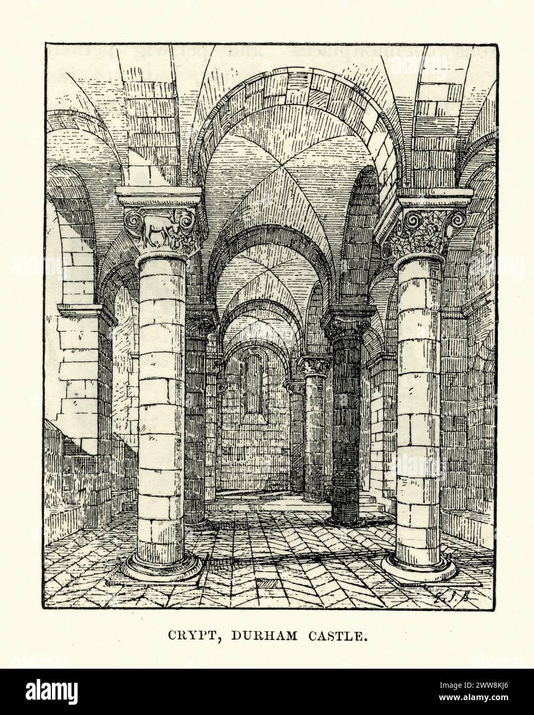 Vintage engraving of a Sketch of Durham Castle Crypt, 19th Century. A ...