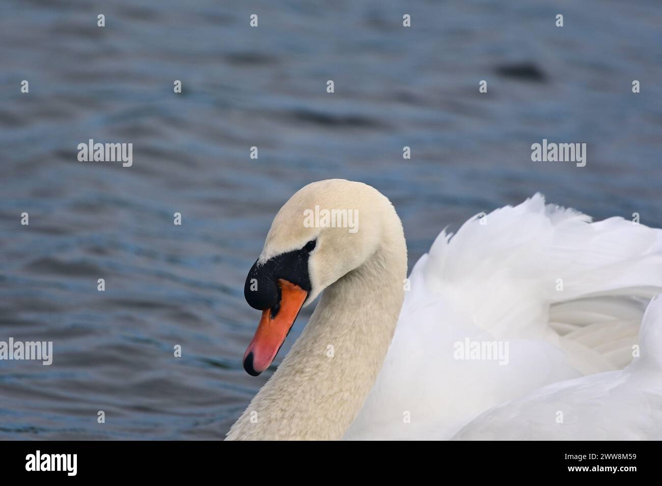 Berryhill farm hi-res stock photography and images - Alamy