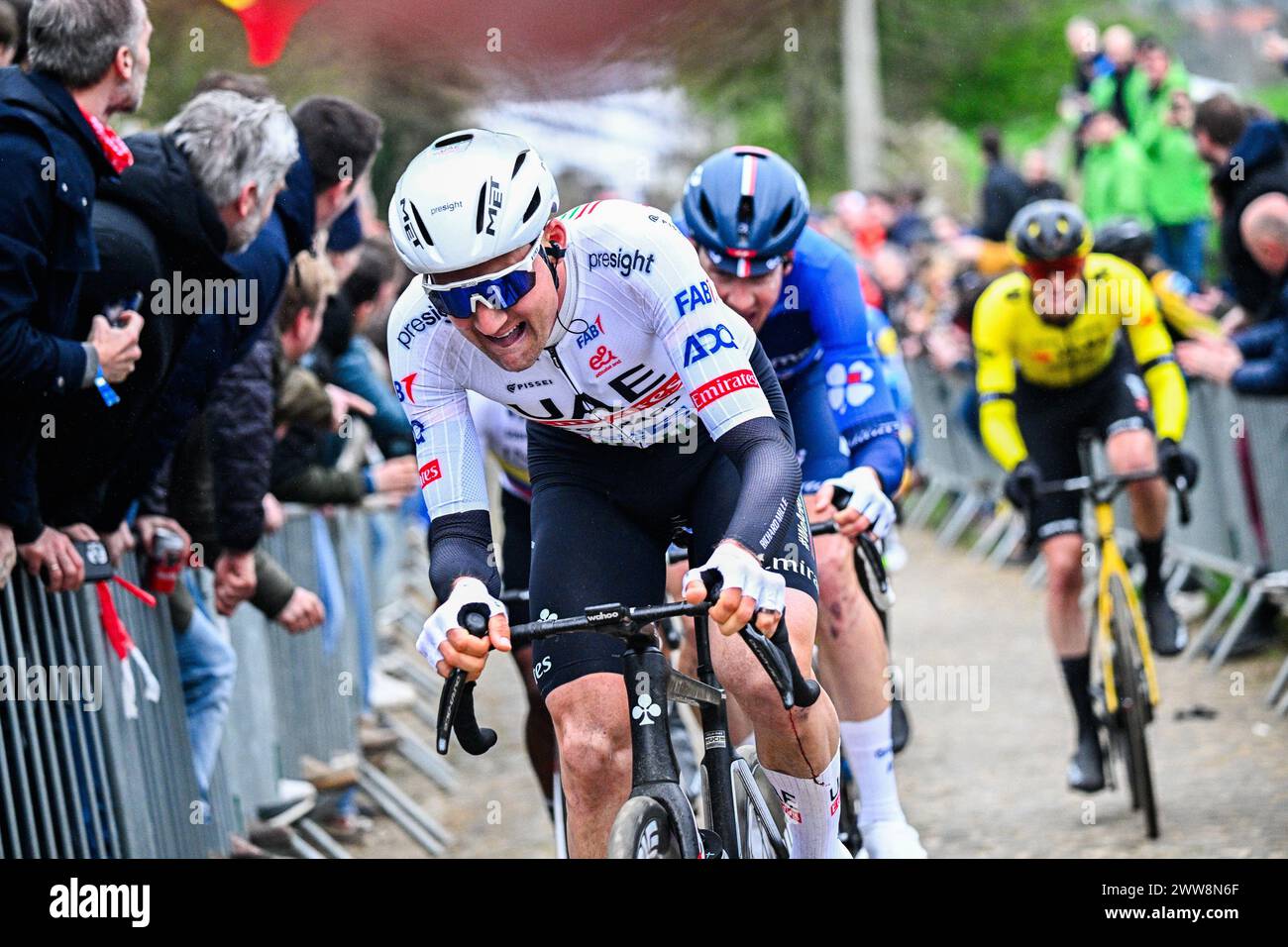 Harelbeke, Belgium. 22nd Mar, 2024. Belgian Tim Wellens of UAE Team ...