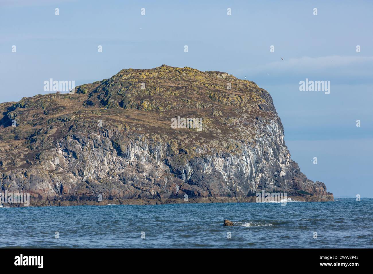 Craigleith a small island in the Firth of Forth just off land from ...