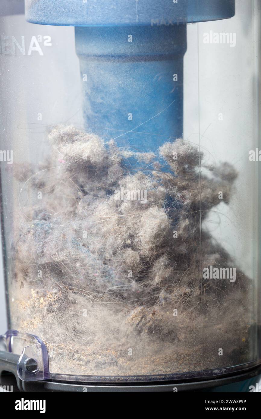 Close up vacuum cleaner vacuuming hi-res stock photography and images ...