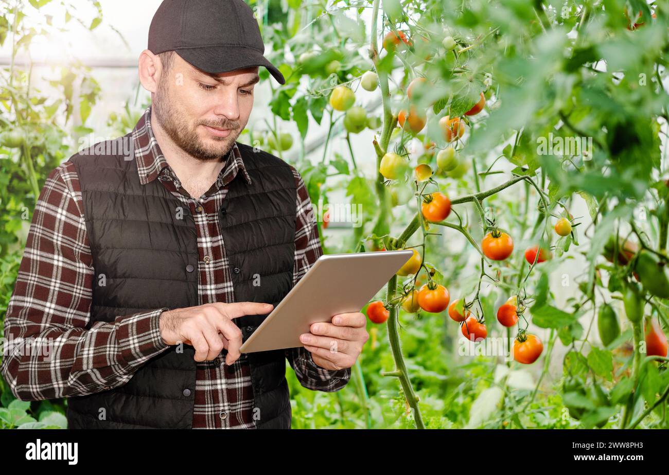 Male farmer stands in a greenhouse and works on a digital tablet ...