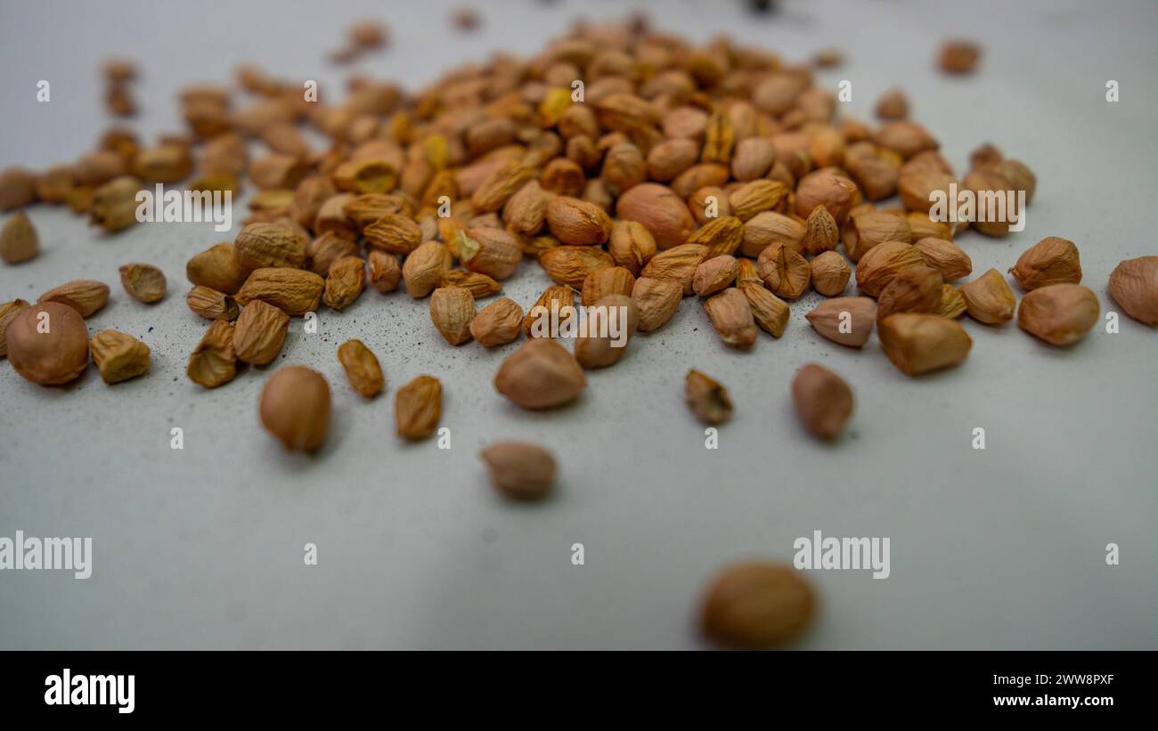 Peanut vegetable in loose grains, portioned and shelled Stock Photo - Alamy