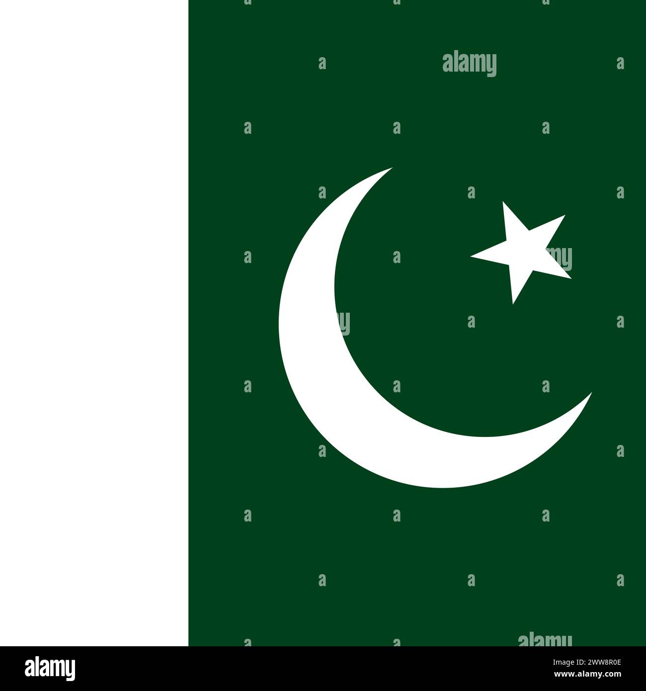 Pakistan flag - solid flat vector square with sharp corners Stock ...