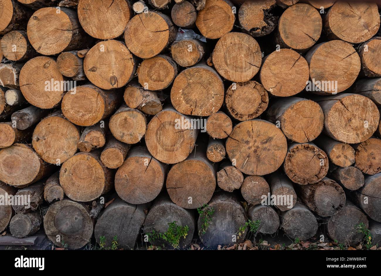 Firewood wood pile stacked triangle hi-res stock photography and images ...