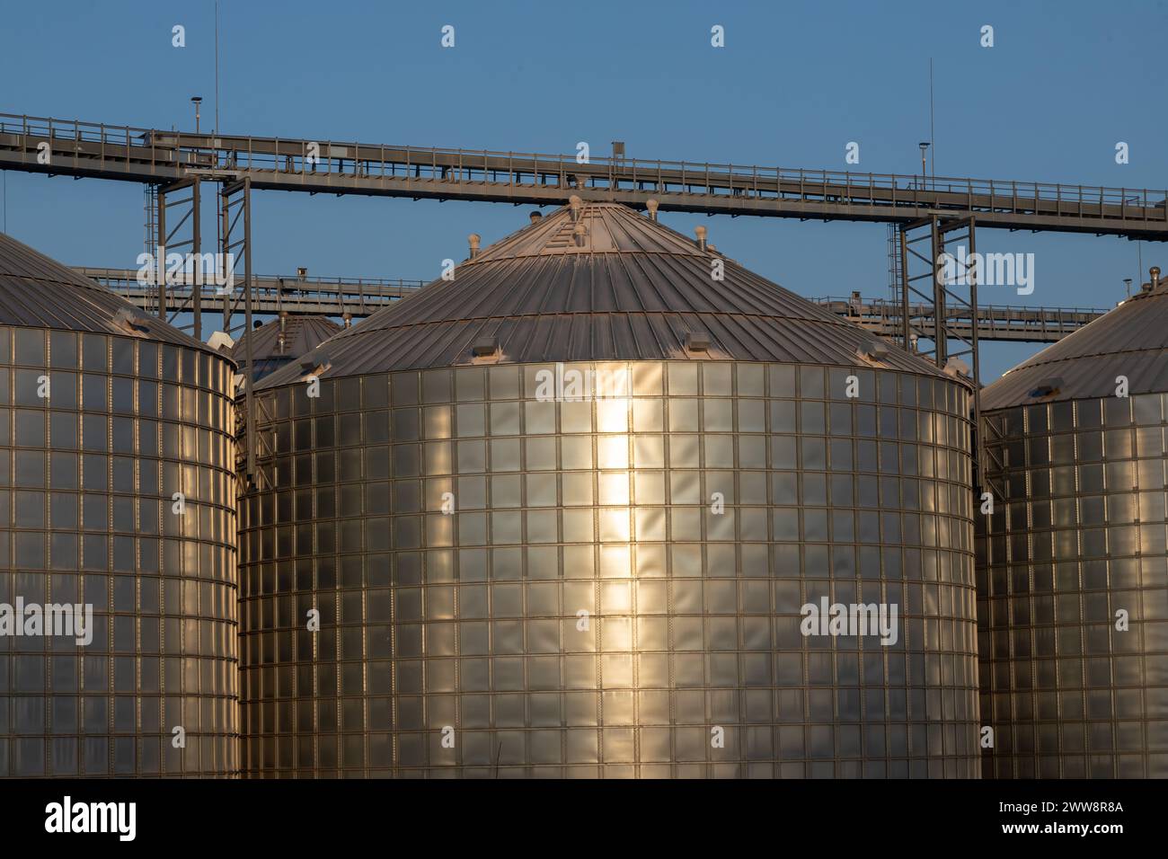 A large modern plant for the storage and processing of grain crops ...