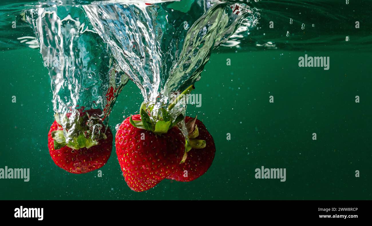 ripe strawberries fall into the water lifting splashes and air bubbles ...