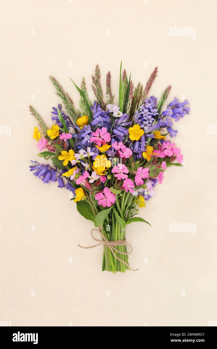 Spring wildflower posy on hemp paper with bluebell, red campion ...
