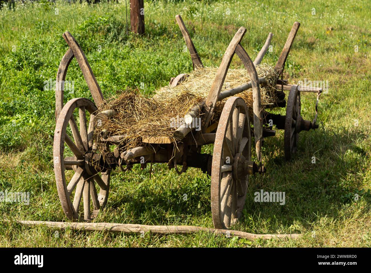 old wood hay-wagon coach wheel in grass Stock Photo - Alamy
