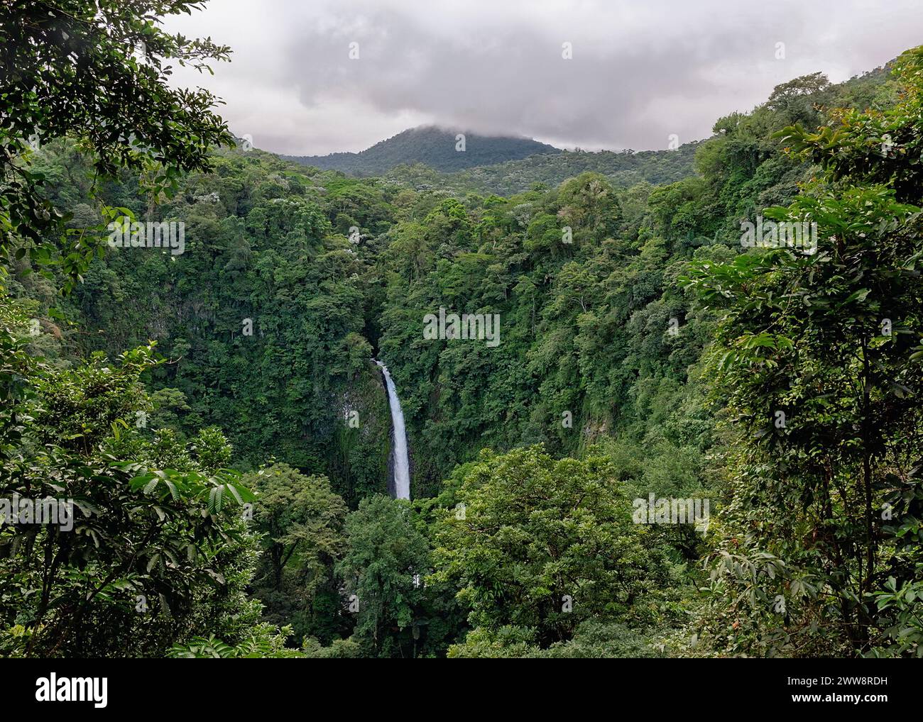 Wide angle view of La Fortuna de San Carlos waterfall in Arenal volcano ...