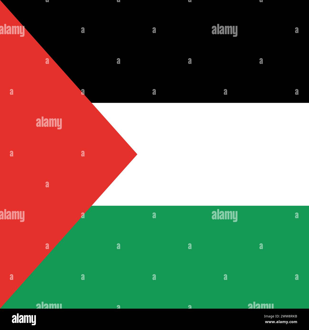 Palestine flag - solid flat vector square with sharp corners Stock ...