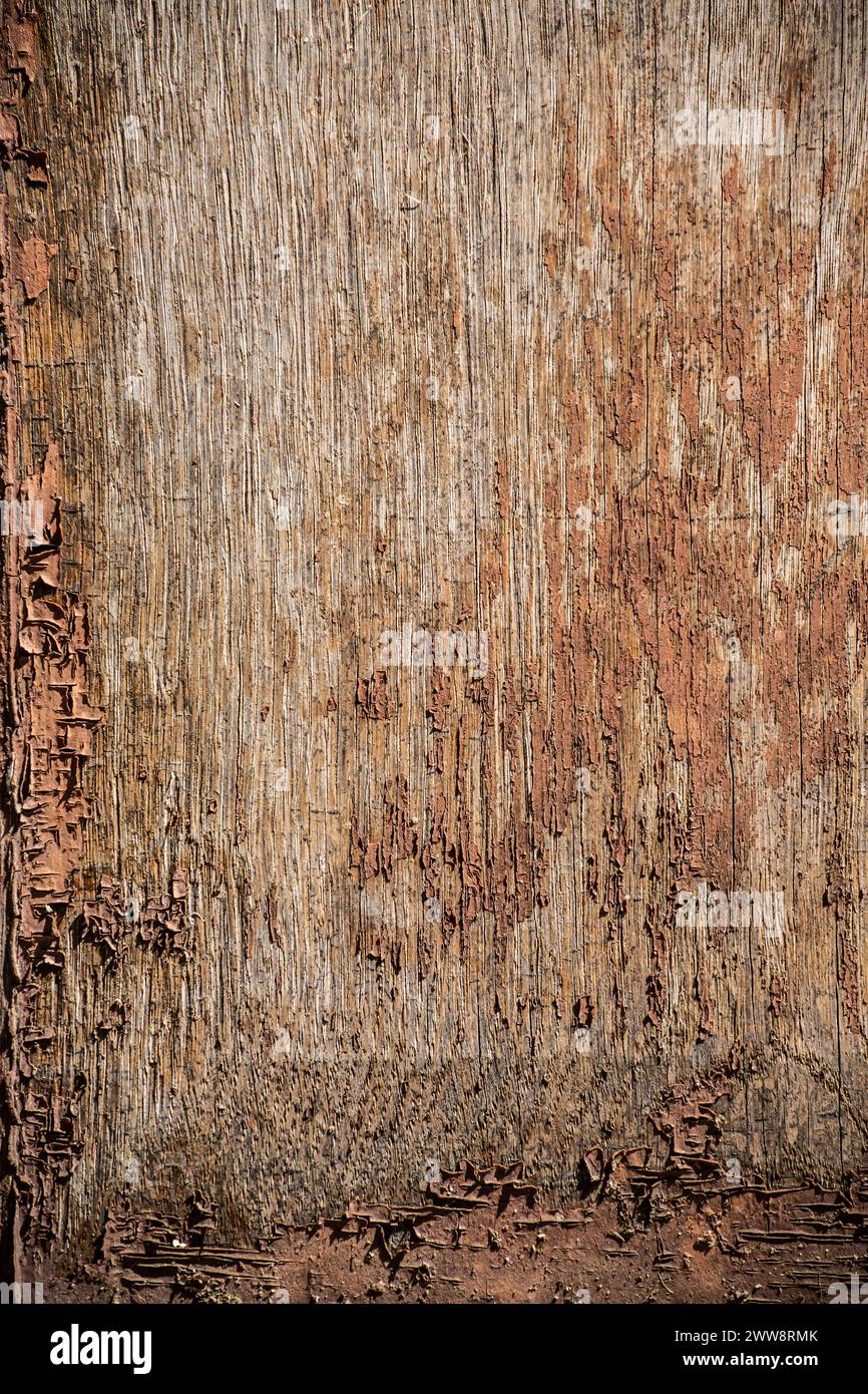 the brown wood texture with natural patterns Stock Photo - Alamy