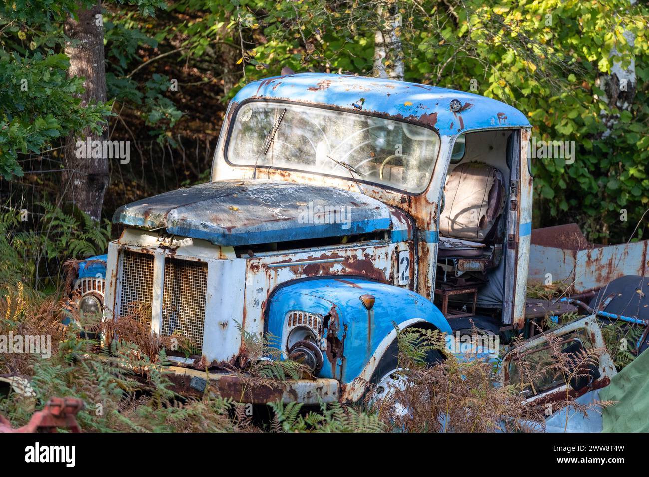 Blue truck wreck rusting in the woods Stock Photo - Alamy
