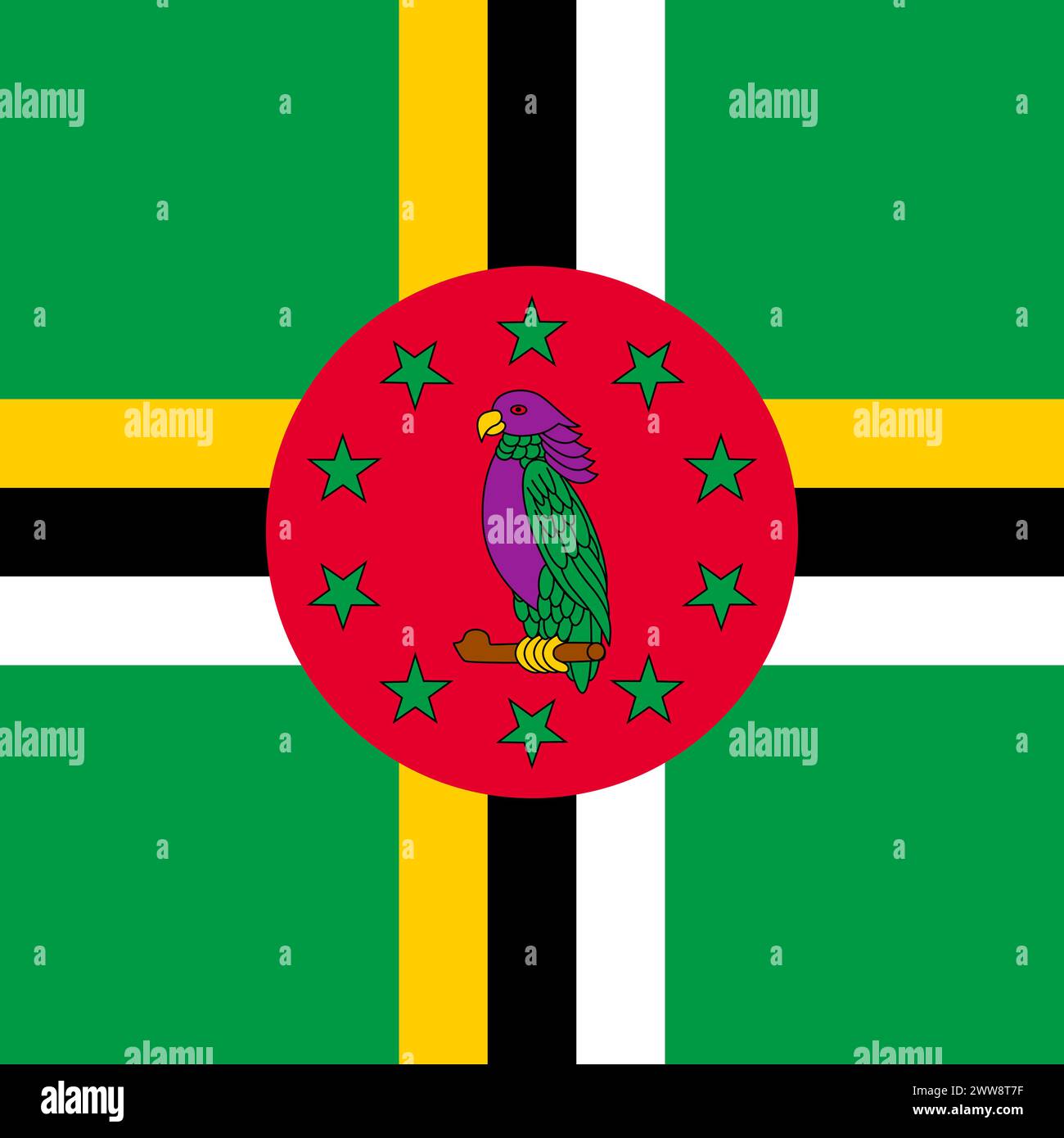 Dominica flag - solid flat vector square with sharp corners Stock ...