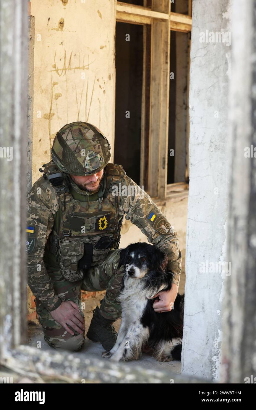 Ukrainian soldier with stray dog in abandoned building Stock Photo - Alamy