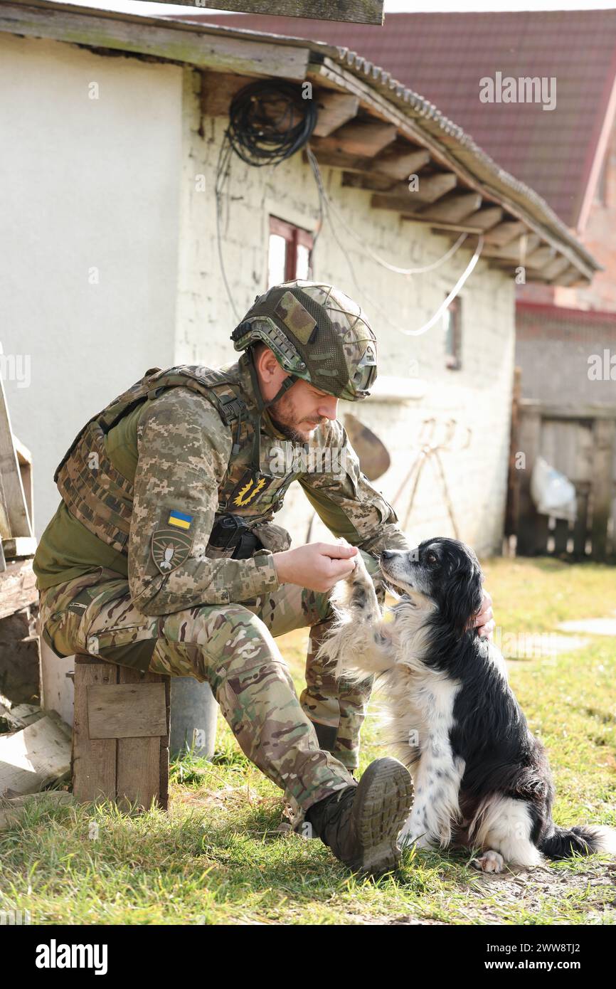 Stray dog giving paw to Ukrainian soldier outdoors Stock Photo - Alamy