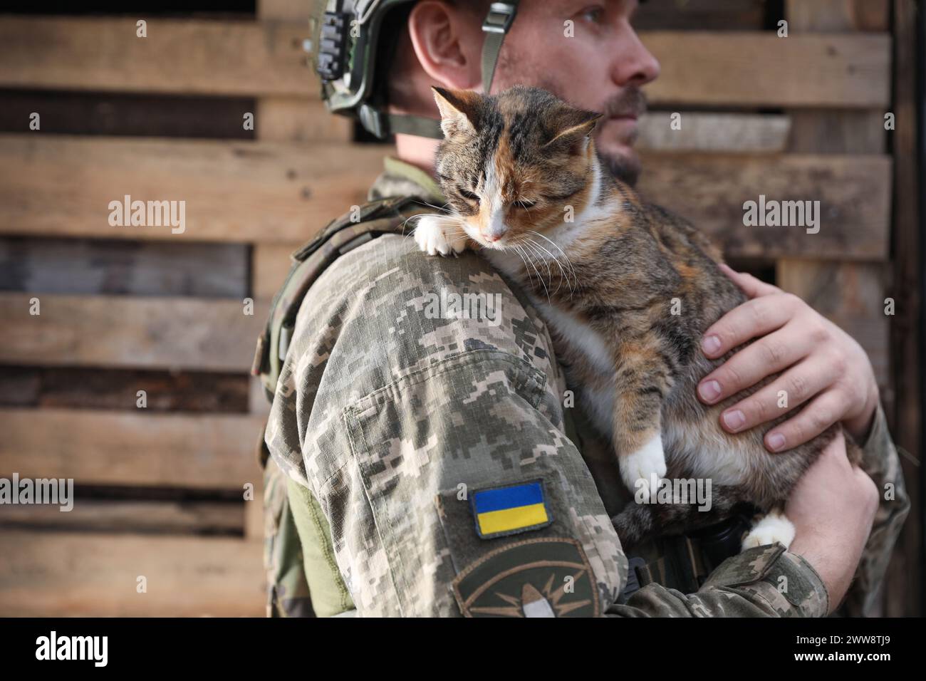 Ukrainian soldier rescuing stray cat outdoors. Space for text Stock ...