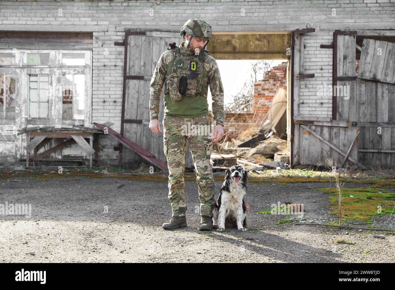 Day of ukrainian volunteer hi-res stock photography and images - Alamy