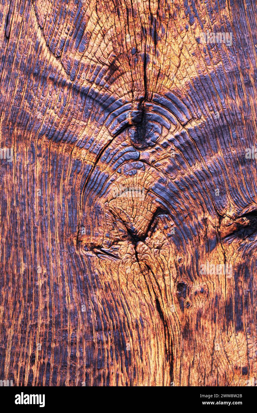 Embered Relic: Texture of a Charred Oak After the Flames Stock Photo ...