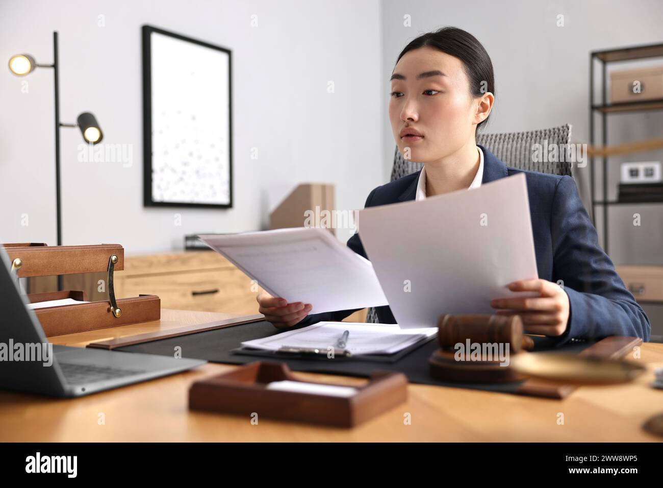 Lawyer judge reading documents hi-res stock photography and images - Alamy